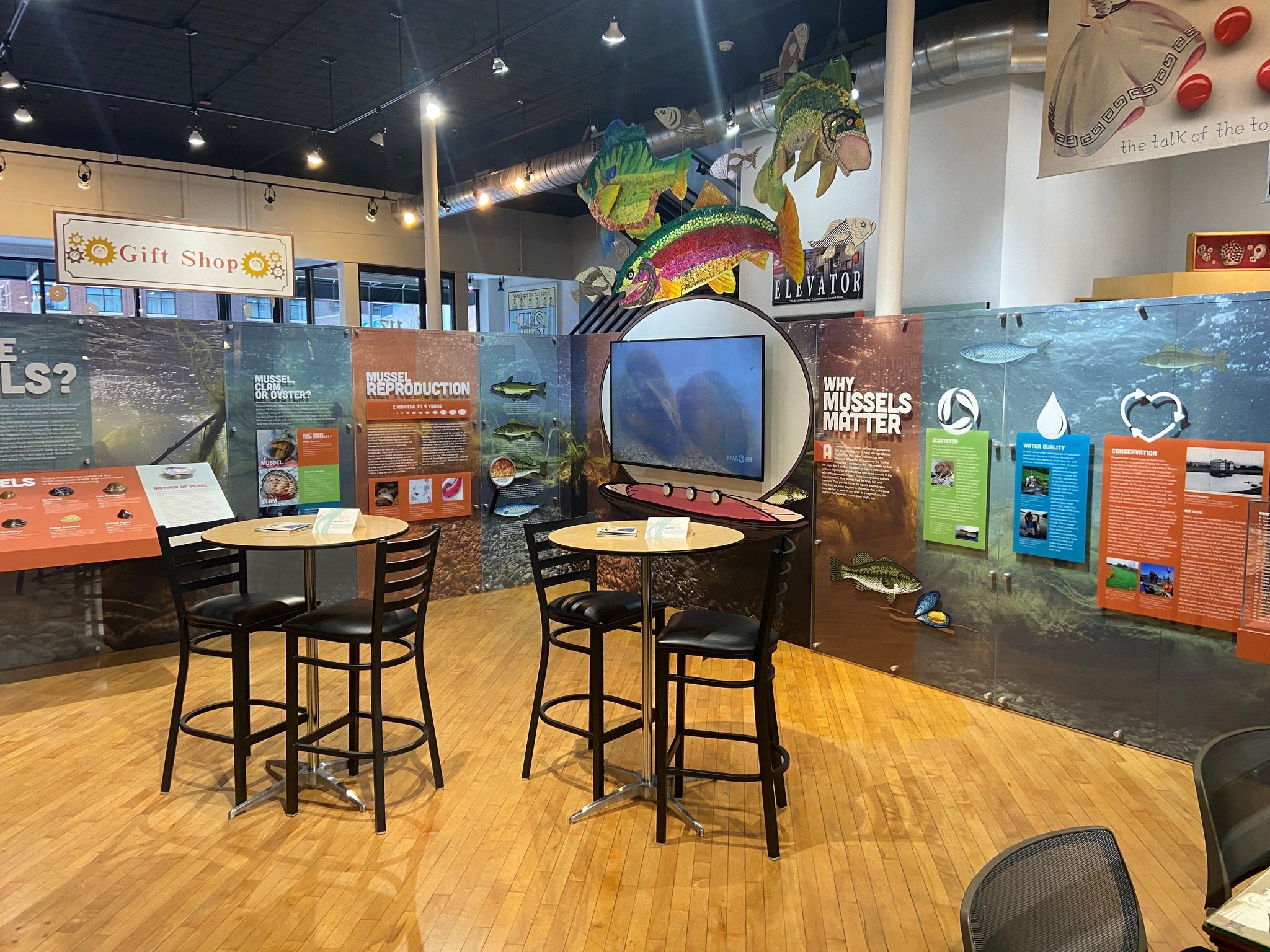 About Us | National Pearl Button Museum @ Muscatine History and ...